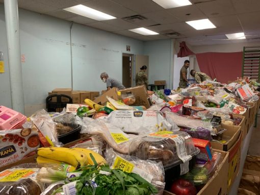 Programs and Services – Nourish Phoenix